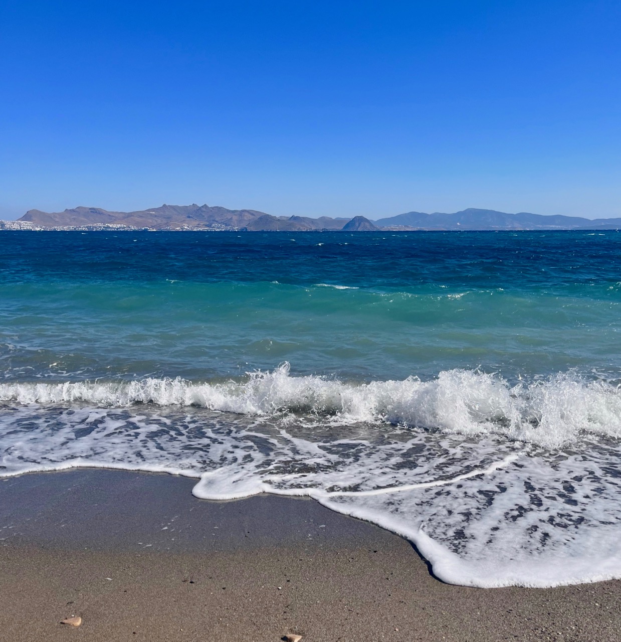 Travels to Kos & News from SFG HQ - Scottish Food Guide